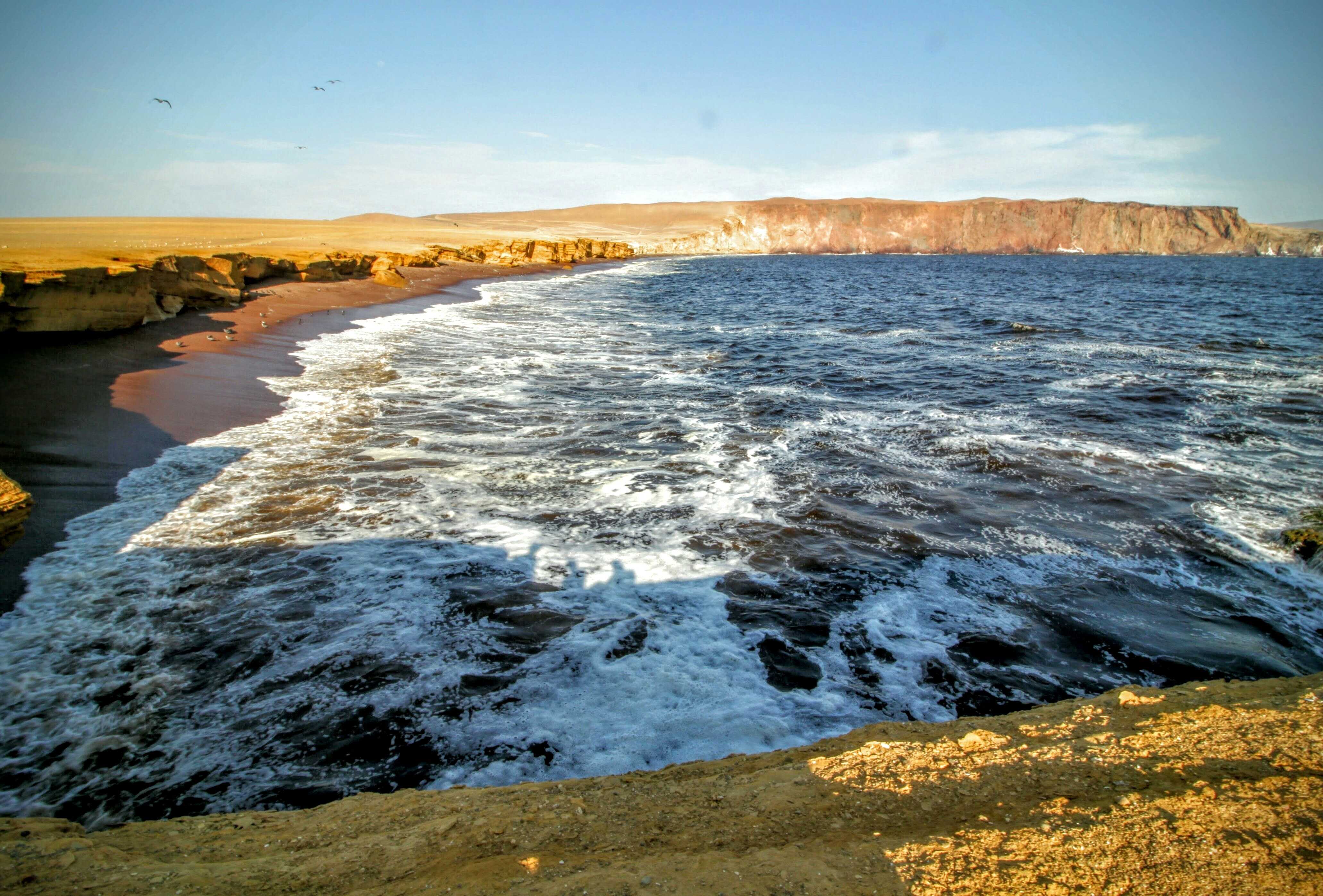 Paracas National Reserve | Umm... That Way‽